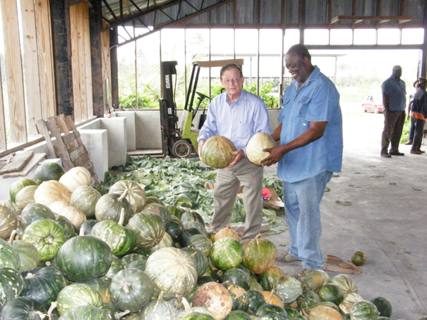 Lucayan Tropical “to Benefit Andros Farmers”? | Bahamaspress.com