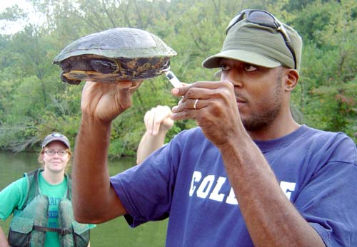 Bahamian Scientist Turtle Research To Publish In Major Science Journal ...