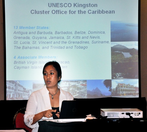 Bahamas National Commission for UNESCO hosts Consultation Meeting on ...