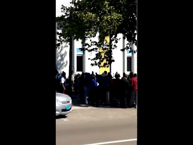 WSC Workers strike against Chairman Adrian Gibson today… | Bahamaspress.com