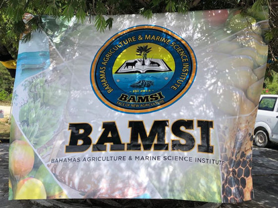 BAMSI fires five permanent and pensionable employees today ...