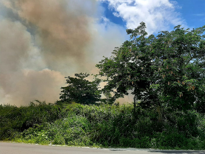 Big Bush Fire alongside Bishop Wenith Davis Church on Zion Blvd ...