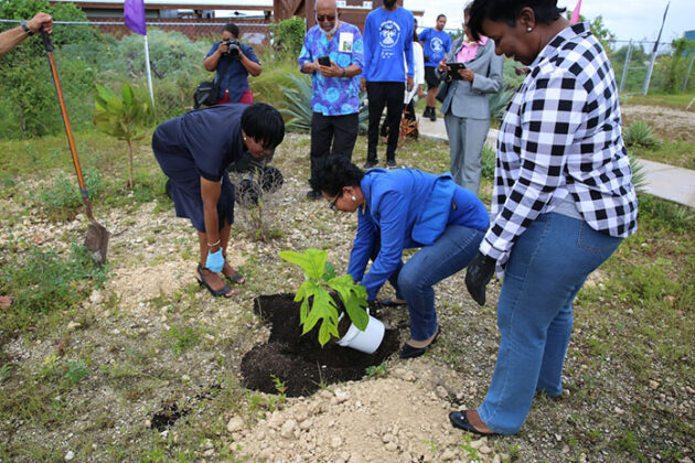 Office of the Spouse of the Prime Minister takes ‘Trees that Feed ...