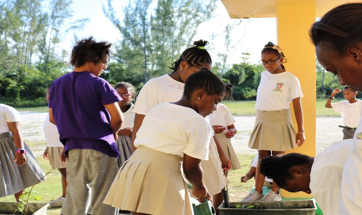 BAMSI Youth Engagement to Build Food Security | Bahamaspress.com
