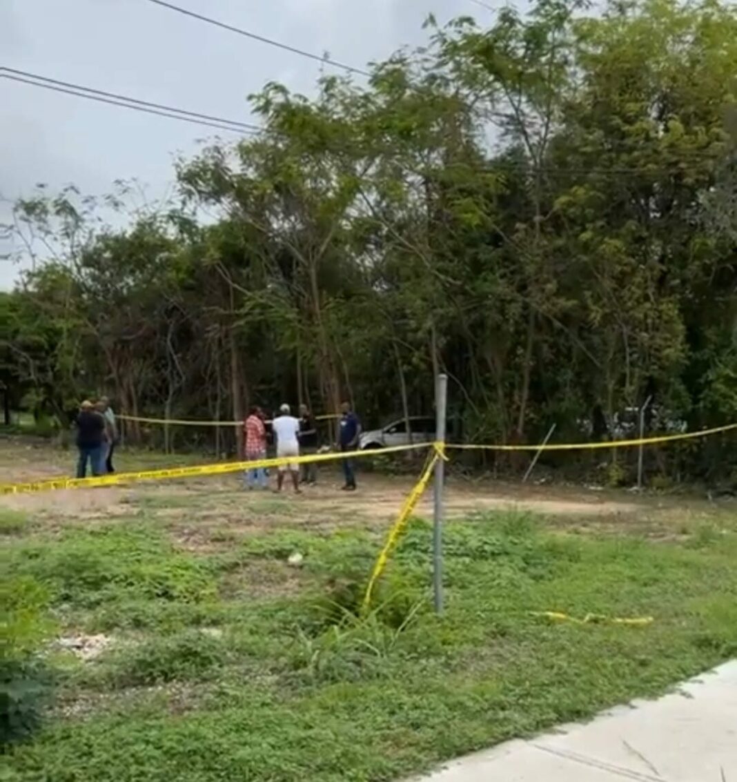 Brother murders younger brother on Carmichael Road on Saturday ...