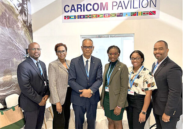 THE BAHAMAS HIGHLIGHTS HEALTH PRIORITIES AT COP29 | Bahamaspress.com